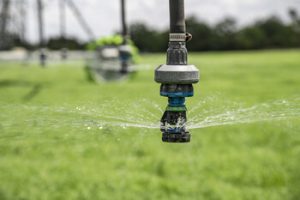Mastering the Flow: A Guide to Setting Up a Reticulation System ...